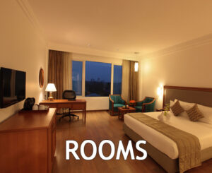 Monsoon Empress Kochi – Check-in to a World of Luxury